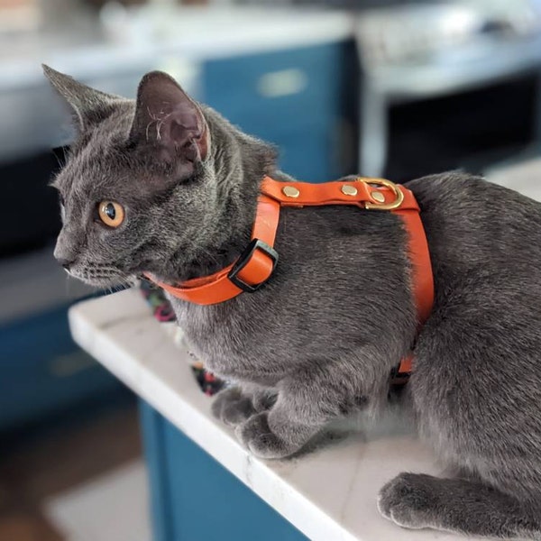 Keiko's MERMAID WHIMSICAL Cape - Cat Costume, Dog Outfit, Gatsby Cape ...