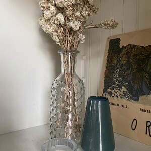 Preserved Lycopodium Bunchdried Princess Pine Grassdried - Etsy