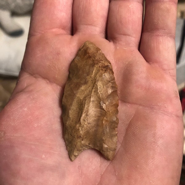 Desert Delta Side Notch Arrowhead Projectile Point - Ancient Native ...