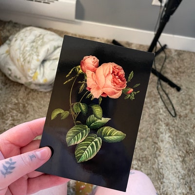 Graffiti Postcards - Etsy