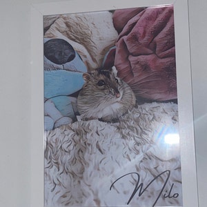 Ginger Cat Calendar 2025: Monthly Wall Calendar With Notes, Hanging A4 ...