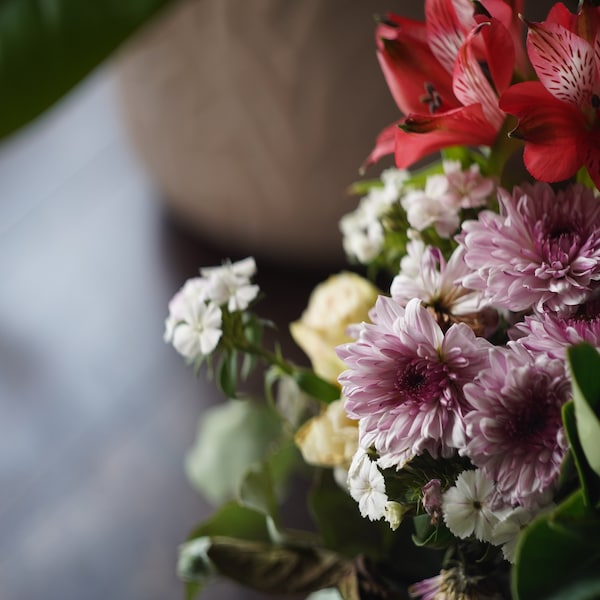 ANAMORPHIC Helios 44m 2/58mm Cine Mod Lens, Sony Nex Mount Vintage Lens ...