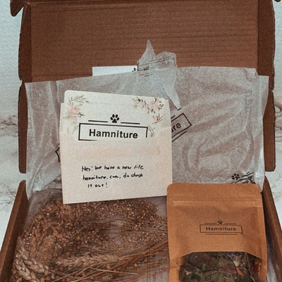 Hamster Watchbox Underground Tunnel Hideout House Home for Gerbil Small ...