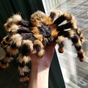 Realistic Tarantula Spider Poseable Shelf Decor Wall - Etsy