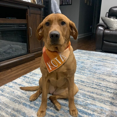 Dog Bandana Aztec Red // Aztec Print Dog Bandana // Tribal - Etsy