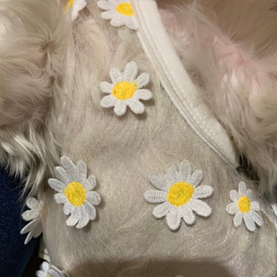 Daisy Chiffon Crop Top, XS-2XL, Dog-shirts Dog Top, Dog Clothing, Dog ...