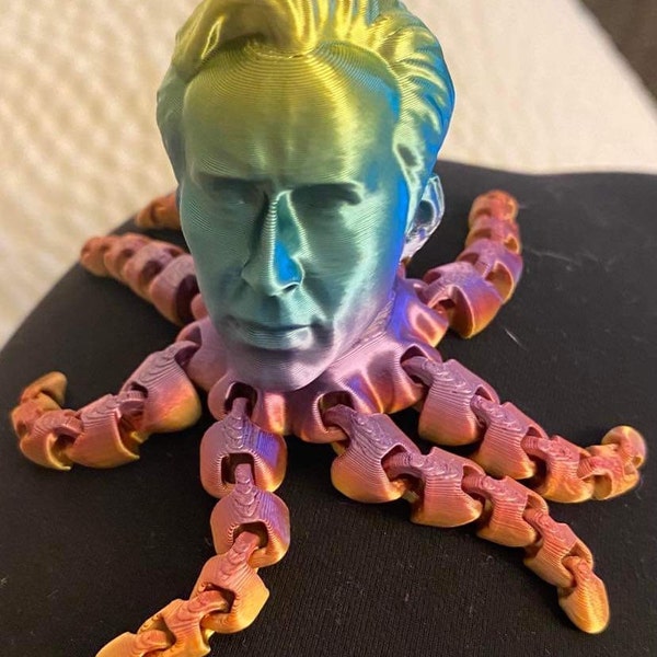 Nicolas Cage Octopus Fidget Toy/ Rocktopus/ Nic Cage - Etsy