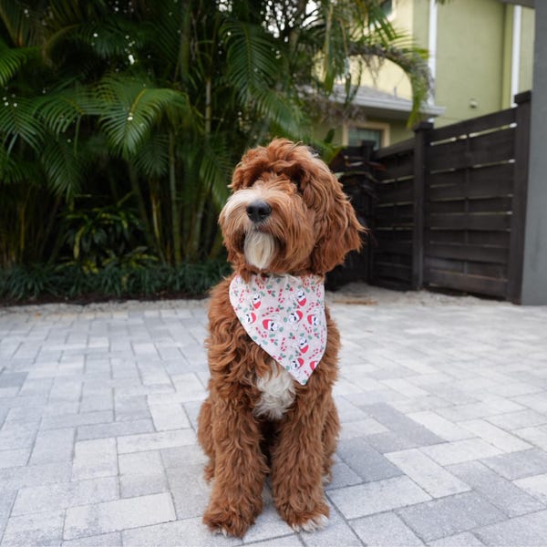 Fast Food Dog Bandana, Diner Reversible Curved Neck Snap On, Summer Pet ...