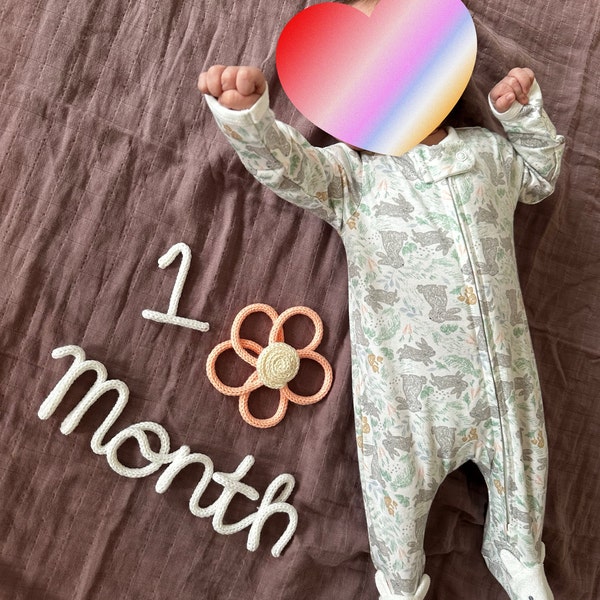 Baby Milestone Numbers Set (months, Numbers Only Not Including Days ...