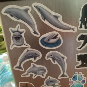 Orca Magnet Set Killer Whale Waterproof Vinyl Magnets for Refrigerator ...