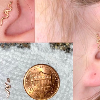 18G/16G Tiny Snake Cartilage Gold Stud Earrings Tragus Snake Conch ...