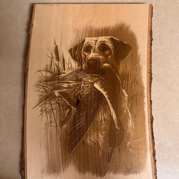 Digital Laser Cut File - Hummingbird and Eye- Laser-ready-file ...