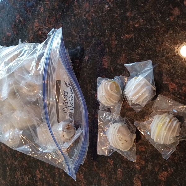 Cow Pasture Manure Pie Patty Poop - Fresh Natural Garden Plant ...