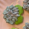 Hydrangea Cookie Cutter & Fondant Cutter by the Cookie Artisan tutorial ...