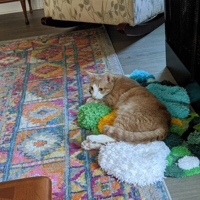 Tuftwonderrug Custom Pet Rugs Pet Portrait Rug Handmade Custom - Etsy