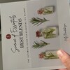 Science of Essentials Best Blends Book - Etsy