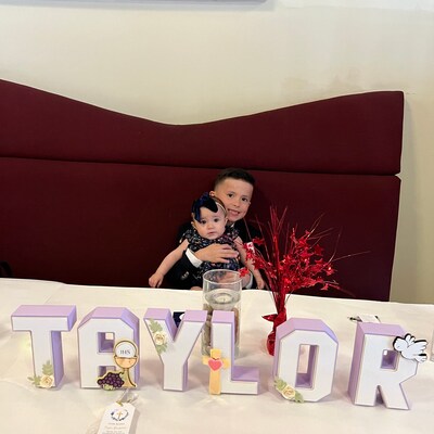 My First Rodeo Birthday Decoration / First Birthday Party Theme / 8.5 ...