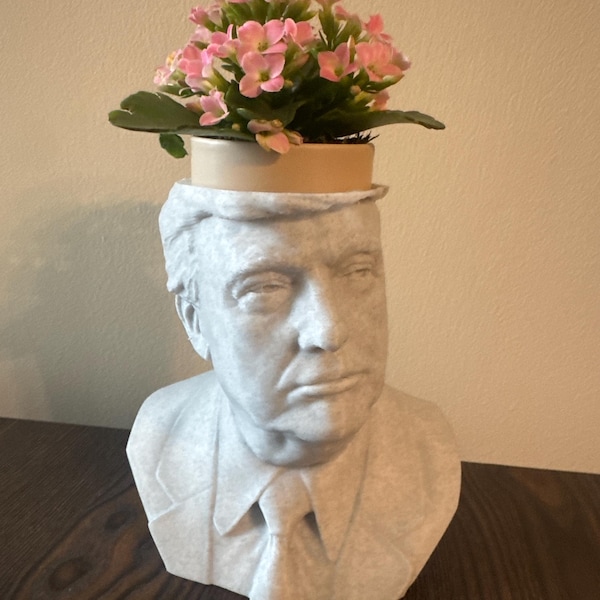 Travis Scott Succulent Planter Pot, Unique Celebrity Face Plant Holder ...