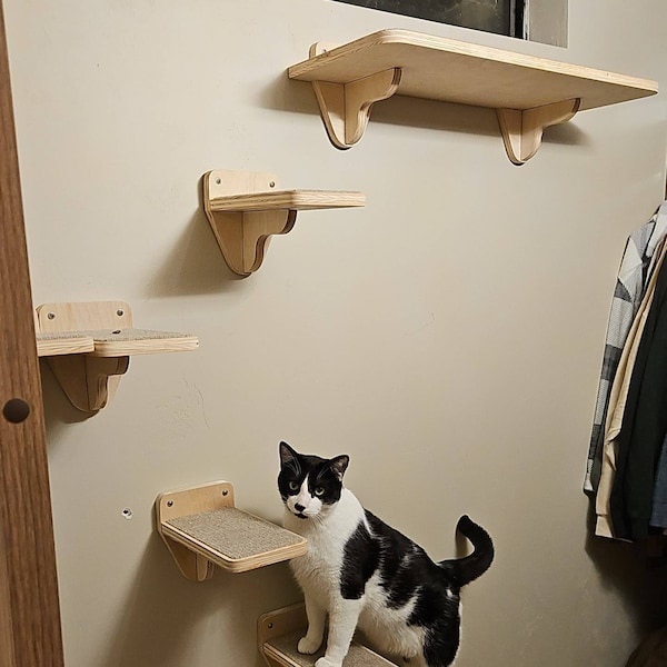 VHS Floating Shelf Wall Mount | VHS Display Stand | VHS Collection ...