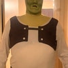 Special FX Makeup - Theatrical Makeup - Shrek the Musical - Shrek Latex ...