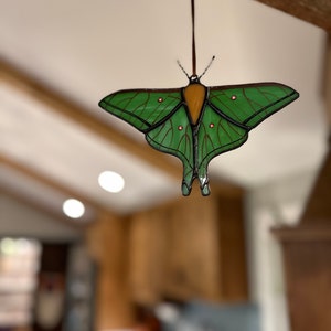 Blue Butterfly Stained Glass Butterfly Glass Wings Stained Glass Blue ...