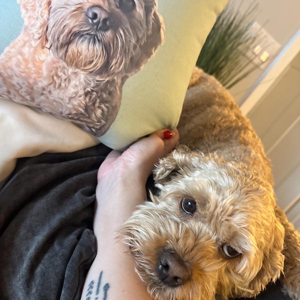 Custom Pet Pillow Using Pet Photo + Name Custom Cat Dog Pillow ...