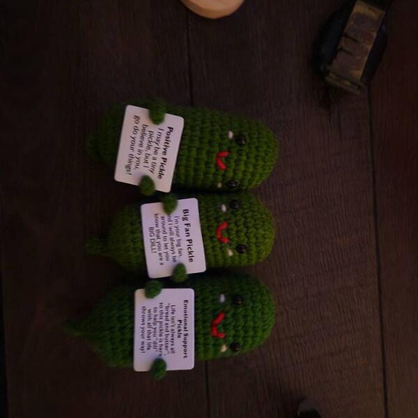 Handmade Crochet Pickles,emotional Support Pickle,positive Pickle,big ...