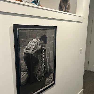 Freshwater Fish Poster - Etsy