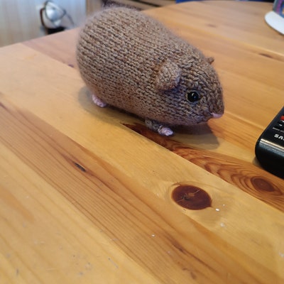 Guinea Pig knitting Pattern - Etsy