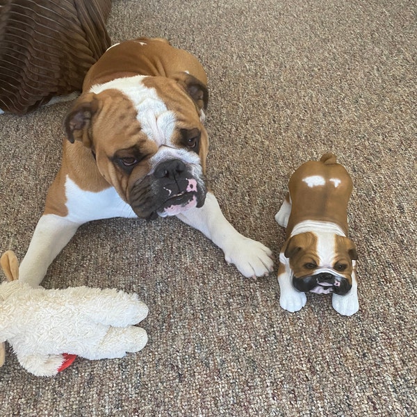 English Bulldog Memorial *garden Statue Dog *sculpture Outdoor Yard ...