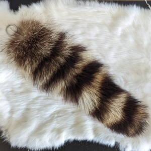 7-10 Hanging Light Puffer Fish Real Blowfish Lamp - Etsy