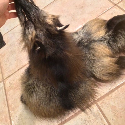 Cross Fox Pelt, Fox Pelt, Fox Pelts, Fox Fur, Real Fur, Real Fox Fur ...