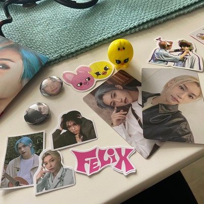 Stray Kids Skzoo Mini 3D Print Figures - Etsy