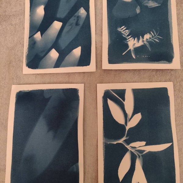 Cyanotype Kit: Easy to Use Sun Printing Kit by Daisy Bow Craft - Etsy