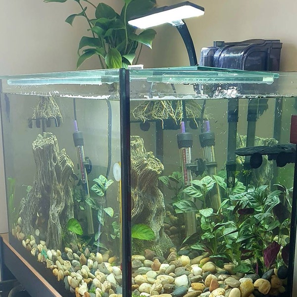 Smiski Display Shelf Stand House - Classic Series Home - Made by CG - Etsy