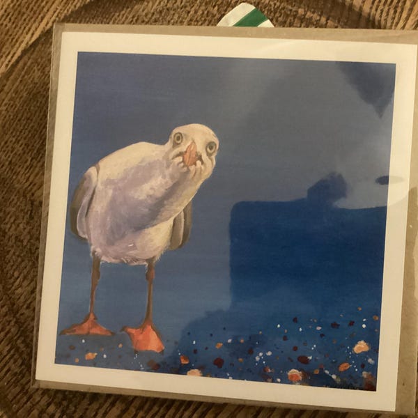 Blank Card - Seagull Art Greetings Cards - Funny, Humour, Birthday ...