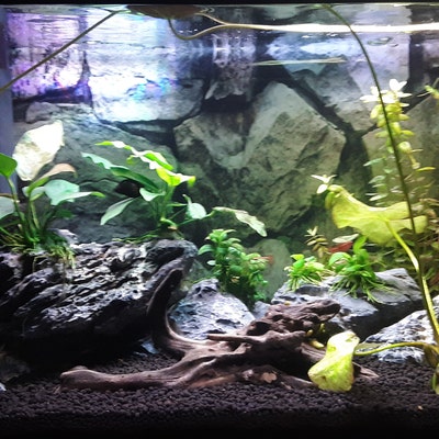 Silver Medley Rock / HD Stone Aquarium Background Rocky Fish Tank ...