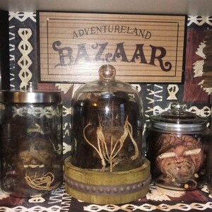 Snuggly Duckling Disney Tangled Home Decor Sign | Etsy