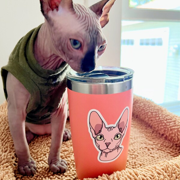 Sphynx Cat Vinyl Sticker - Etsy