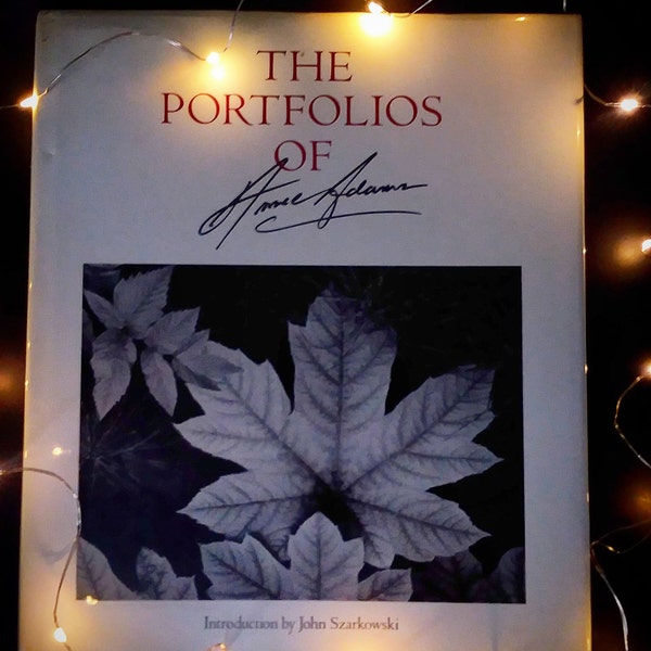 Rubaiyat of Omar Khayyam - Illustrated by Mahmoud Sayah - Translated by ...