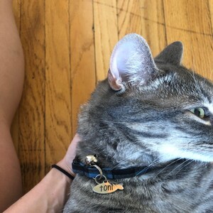 Cat ID tag with Cat Name Tag ID Tag for Cats Stainless | Etsy