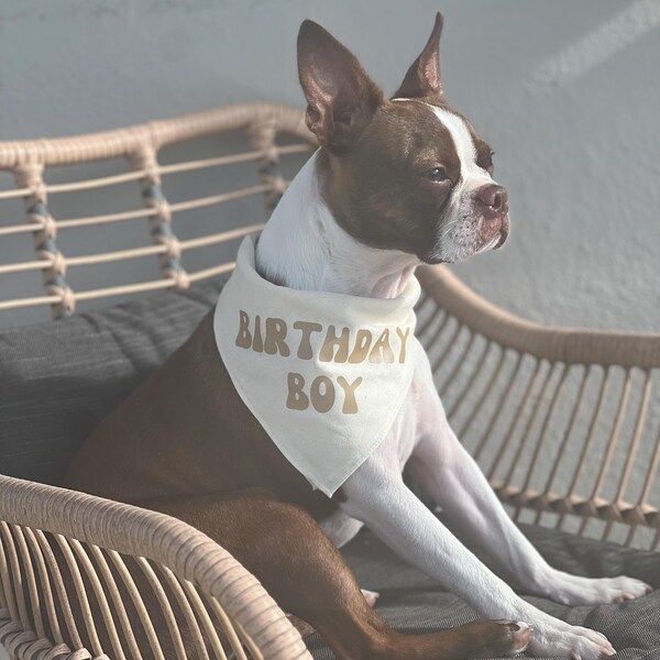 The Big ONE Shirt, Surfer Themed Party, Wave, First Birthday, Bday Boy ...