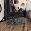 Taxidermy Mouse Head Mount Trophy Tiny Mouse Magnetic Victorian Black ...