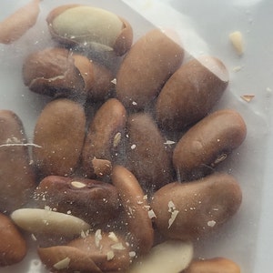 Cinderella Pumpkin Seeds - Etsy