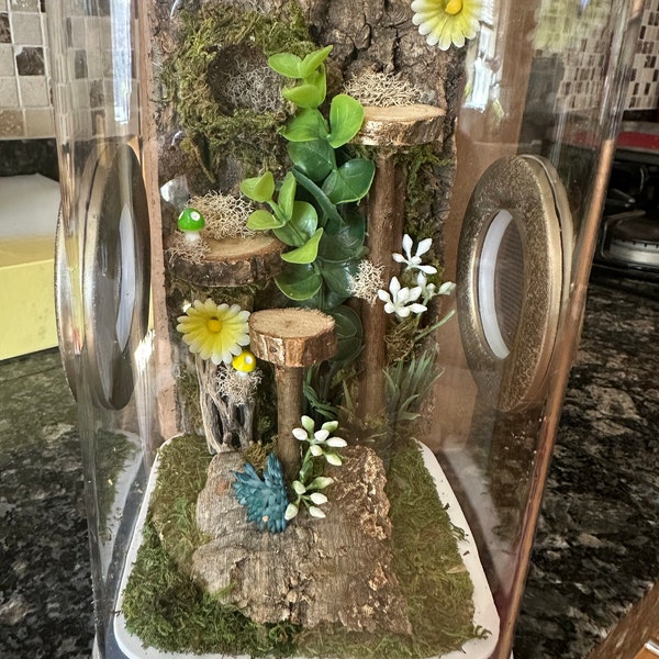 Jumping Spider Enclosure 5x5x9 Spider House, Spider Tank, Spider ...