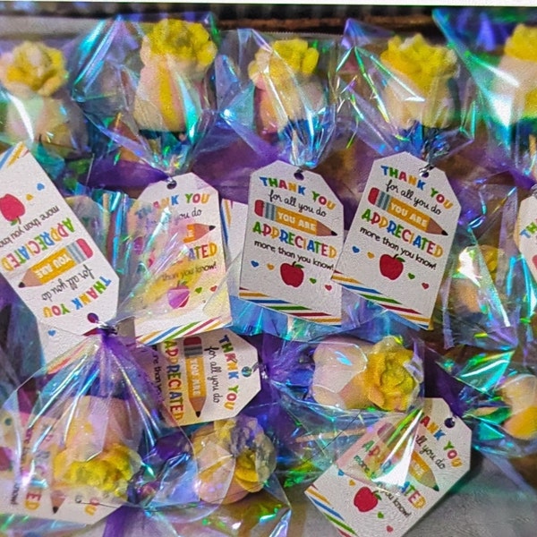 Teacher Appreciation TAGS, TEACHER Thank You Gift Tag, End of School ...