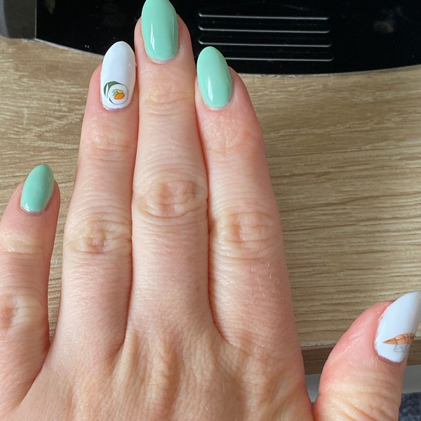 Colouring Book of British Birds 100% Recycled - Etsy