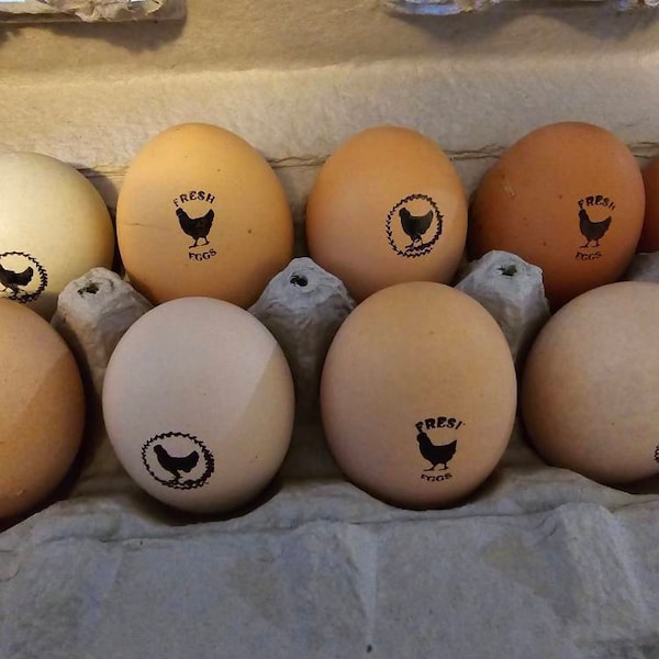 Choose 2 Egg Stamps | Mini Egg Stamp | Homesteading | Farm Stamp | Egg ...