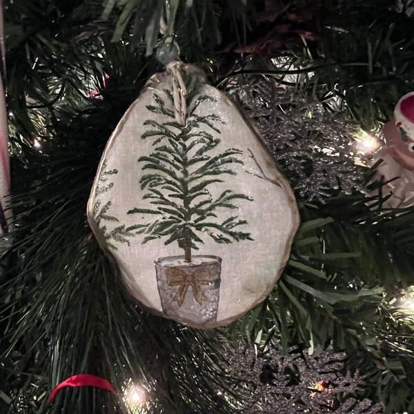 Seashell and Pearl Necklace on 18 Inch Stainless Steel Chain - Pretty ...