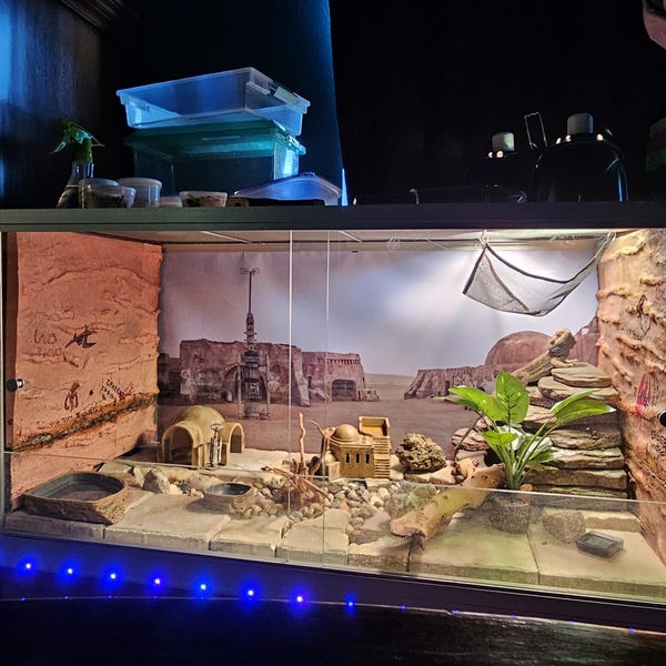Jurassic Park Entrance Gate Decoration for Reptile Terrarium Lizard ...